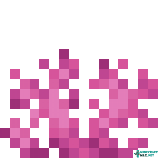 Brain Coral | Minecraft Mobs Wiki | Fandom