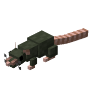 Rat | Minecraft Mobs Wiki | Fandom
