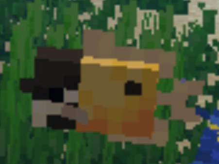 Rabbitfish | Minecraft Mobs Wiki | Fandom