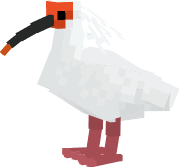 Ibis | Minecraft Mobs Wiki | Fandom