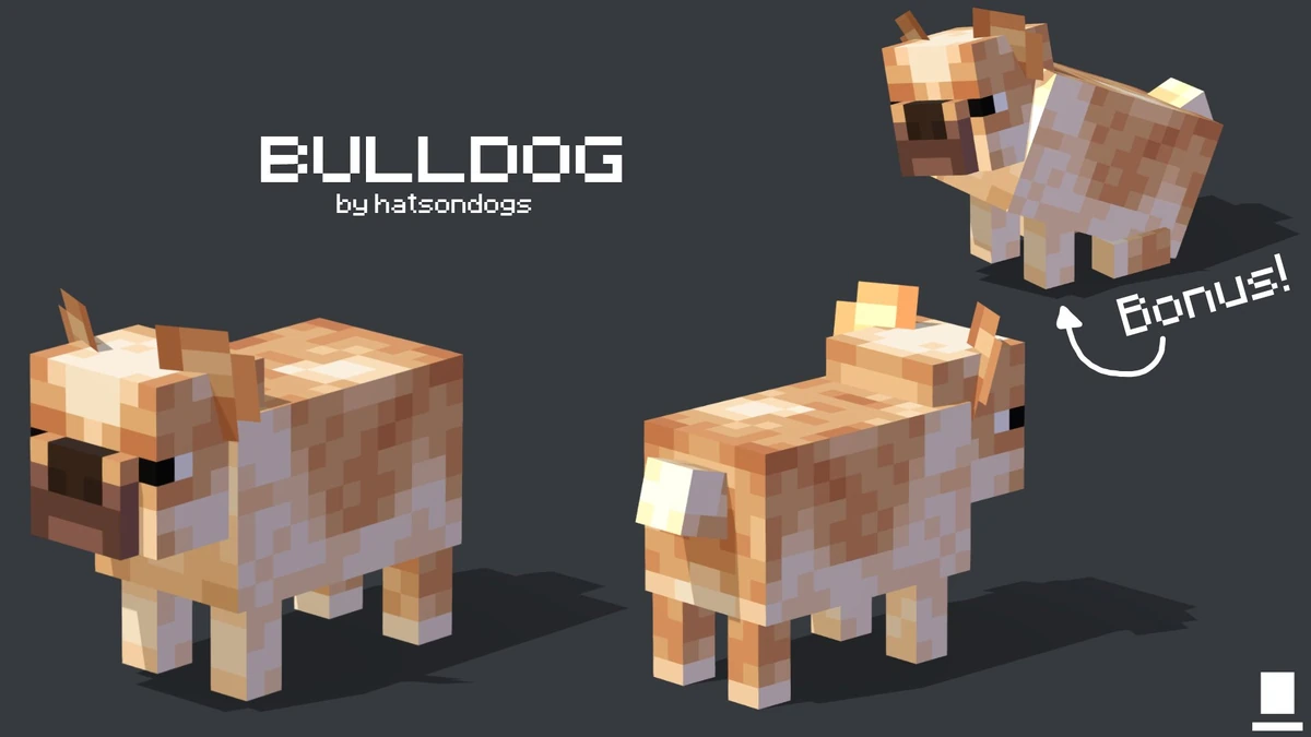 Bulldog | Minecraft Mobs Wiki | Fandom