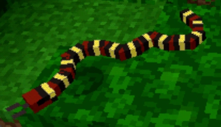 Coral Snake | Minecraft Mobs Wiki | Fandom