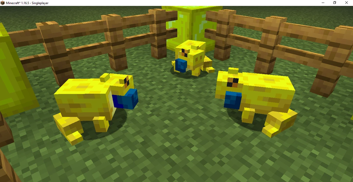 Indian Bullfrog | Minecraft Mobs Wiki | Fandom