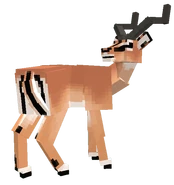 Antelope | Minecraft Mobs Wiki | Fandom