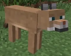 Cougar | Minecraft Mobs Wiki | Fandom