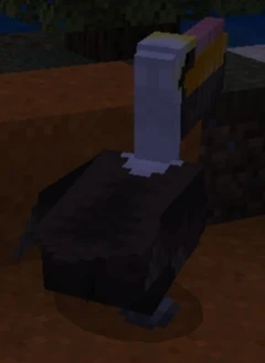Brown Pelican | Minecraft Mobs Wiki | Fandom