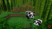 Panda | Minecraft Mobs Wiki | Fandom