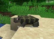 Terrapin | Minecraft Mobs Wiki | Fandom