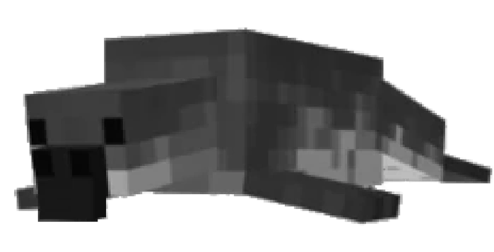 Elephant Seal | Minecraft Mobs Wiki | Fandom