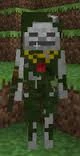 Skeleton Druid | Minecraft Mobs Wiki | Fandom