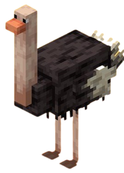 Ostrich | Minecraft Mobs Wiki | Fandom