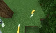 Banana Slug | Minecraft Mobs Wiki | Fandom