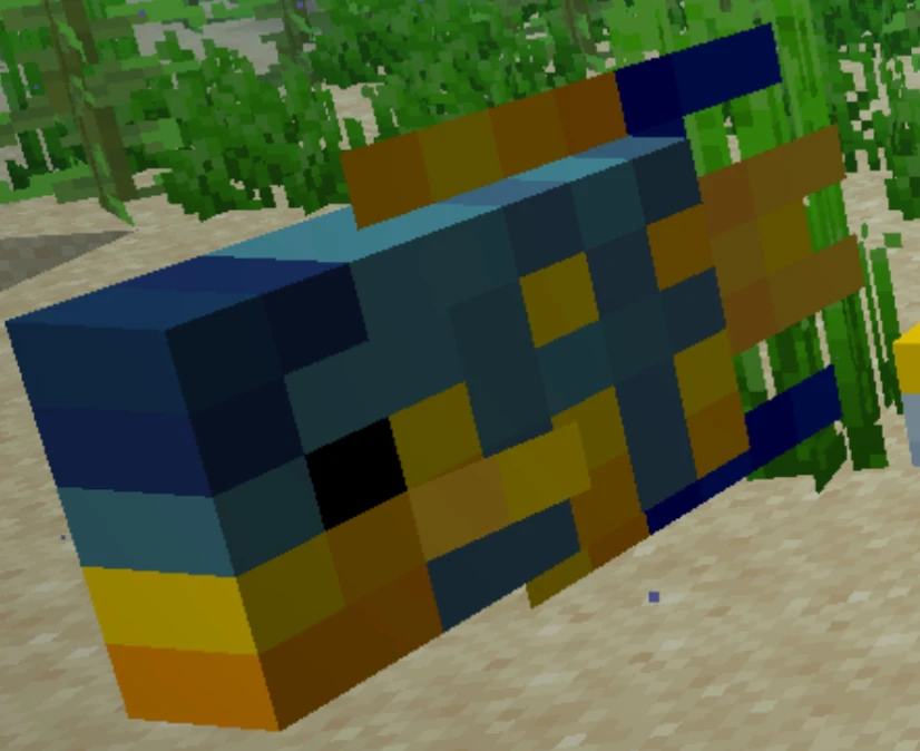 Angelfish | Minecraft Mobs Wiki | Fandom