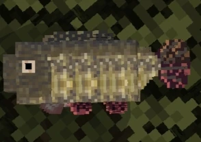 Carp | Minecraft Mobs Wiki | Fandom