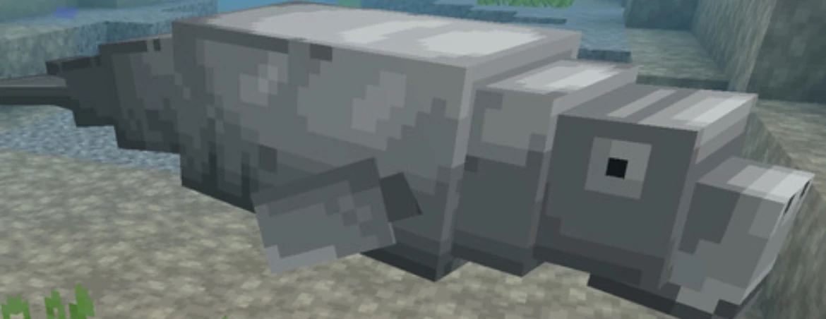 Dugong | Minecraft Mobs Wiki | Fandom