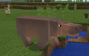 Hippopotamus | Minecraft Mobs Wiki | Fandom