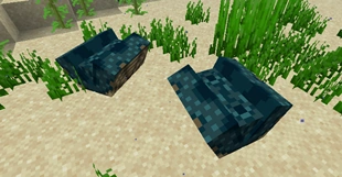 Giant Clam | Minecraft Mobs Wiki | Fandom