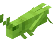 Grasshopper | Minecraft Mobs Wiki | Fandom
