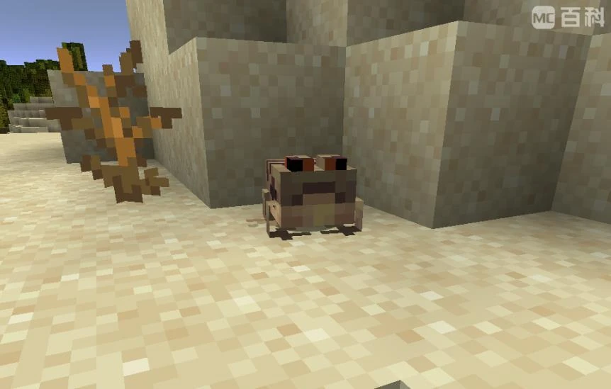 Rain Frog | Minecraft Mobs Wiki | Fandom