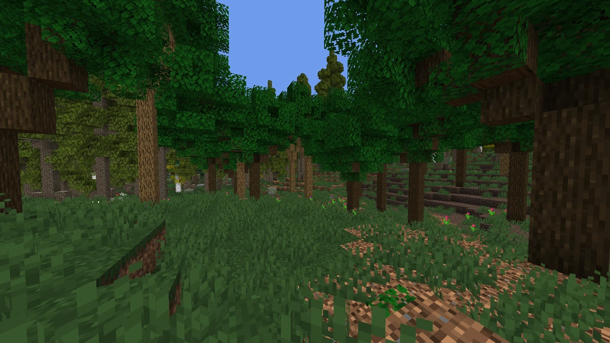 Oh the Biomes You'll Go/Forest Fault | Minecraft Mods Wiki | Fandom