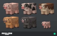 RealismCraft | Minecraft Mods Wiki | Fandom
