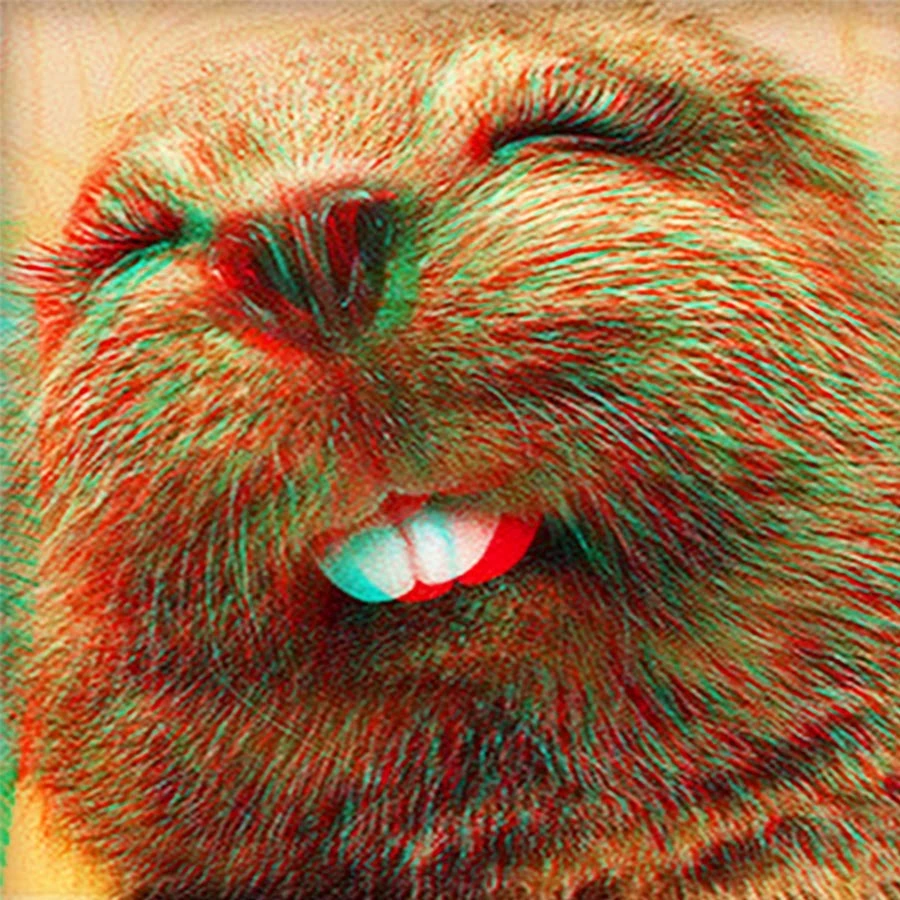 Spifey | Minecraft Monday Wiki | Fandom