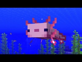 Axolotl in The Ocean | Minecraft Music Wiki | Fandom