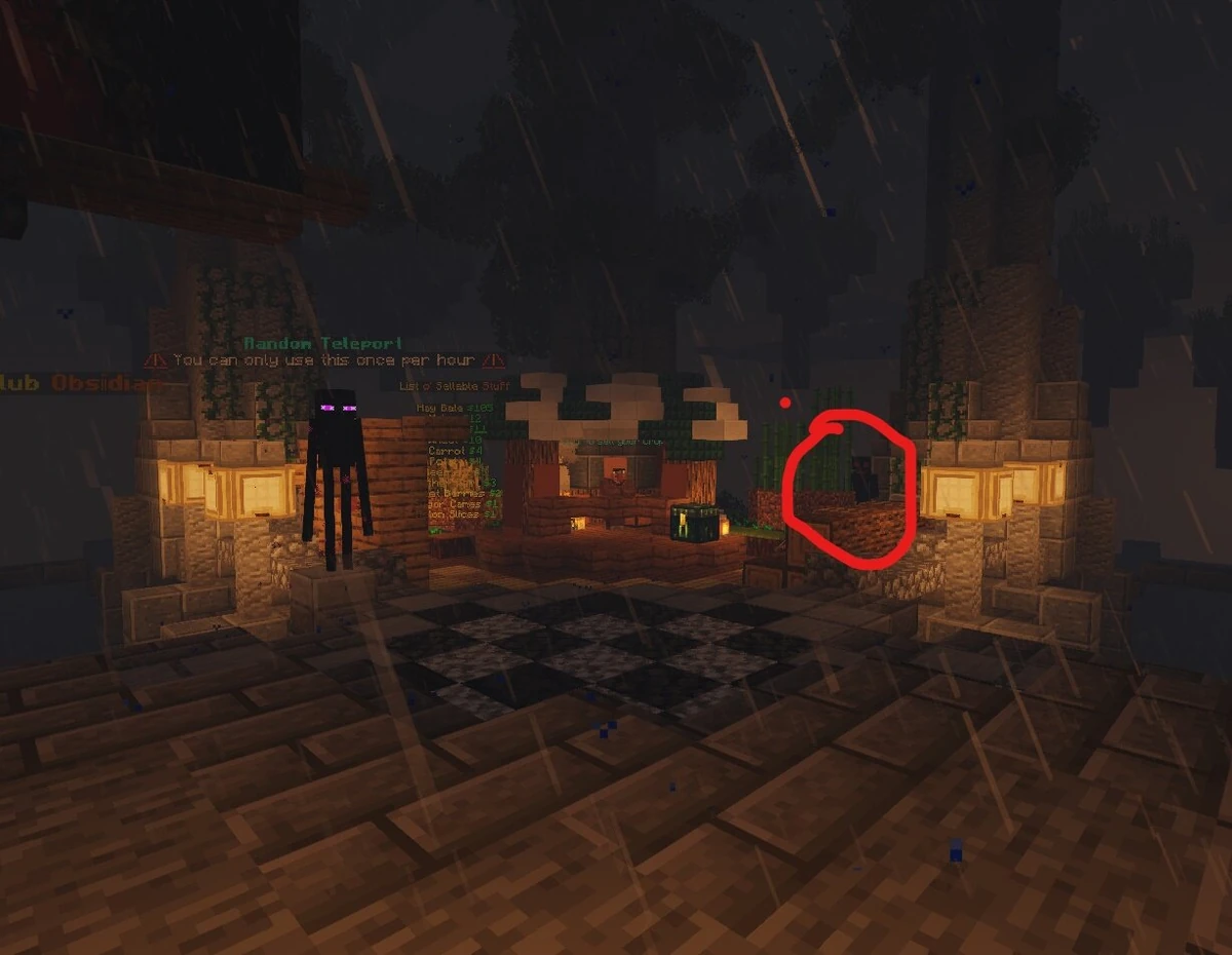 Entity unknown | Minecraft myths Wikia | Fandom