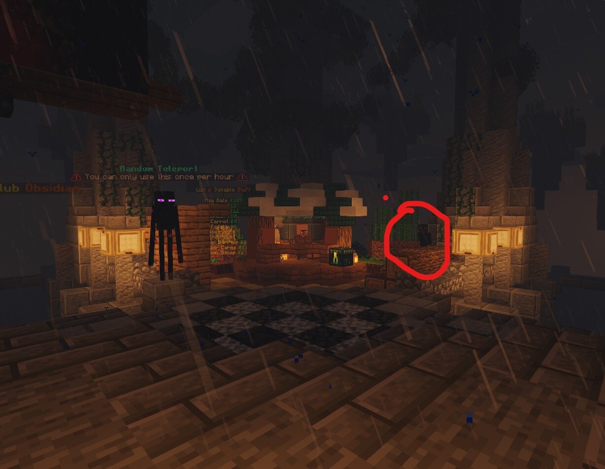 Entity unknown | Minecraft myths Wikia | Fandom