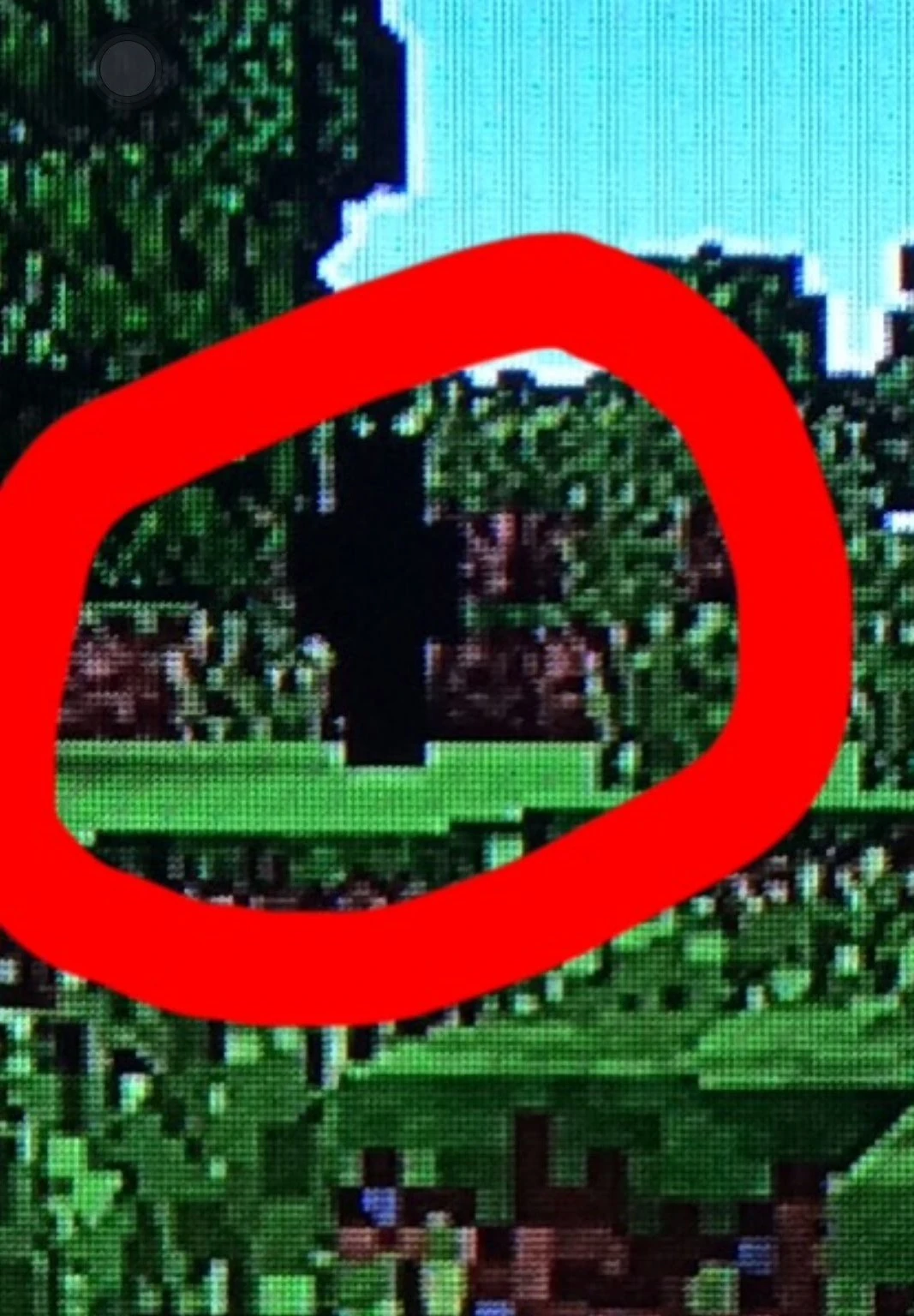 Talk:Stupid you | Minecraft myths Wikia | Fandom