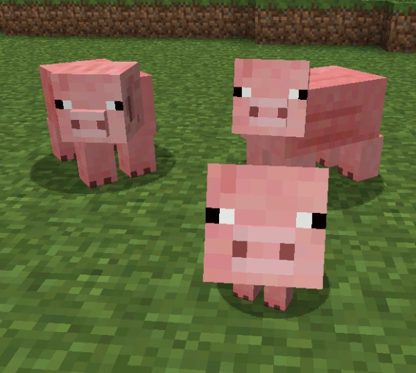Baby Pig | Minecraft PE Wiki | Fandom