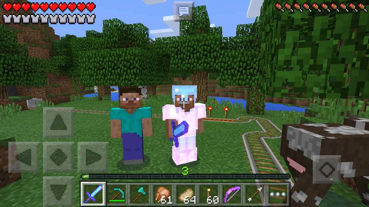 Multiplayer | Minecraft pocket edition Wikia | Fandom
