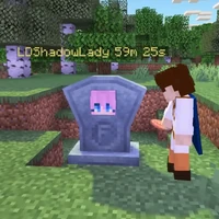 Rules | Minecraft SOS Wiki | Fandom