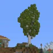 Mogswamp | Minecraft SOS Wiki | Fandom