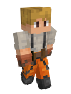 Solidarity | Minecraft SOS Wiki | Fandom