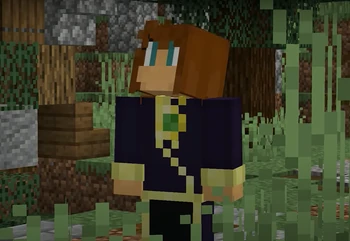 Jen | Minecraft Survival Island Wiki | Fandom