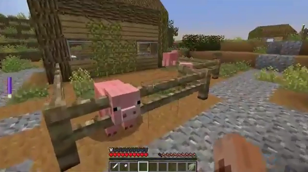 Pigs | Minecraft: The Haunted Wiki | Fandom