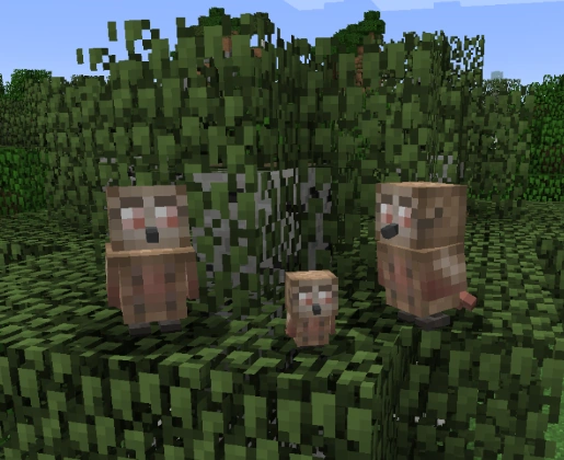 Owl | Minecraft: The World Of Adventure Update Wiki | Fandom