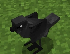 Crow | Minecraft: The World Of Adventure Update Wiki | Fandom