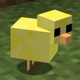 Chicken | Minecraft Ultimate Wiki | Fandom