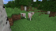 Wolf | Minecraft Ultimate Wiki | Fandom