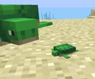 Sea Turtle | Minecraft Ultimate Wiki | Fandom