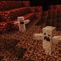 Wraith | Minecraft Ultimate Wiki | Fandom