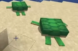 Tartarugas | Wiki Minecraft Vegano | Fandom