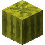 Melon (Block) | Minecraft Win10 Edition Wikia | Fandom