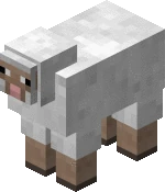 Sheep | Minecraft World Wiki | Fandom