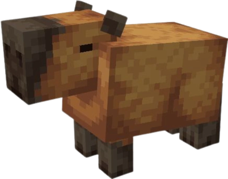 Capybara | Minecraft World Wiki | Fandom