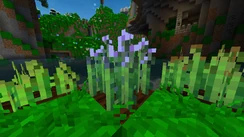 Flax | Minecraft YGC Wiki | Fandom