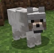 Wolf/Gallery | Minecraft Wiki | Fandom