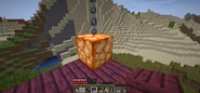 Shroomlight | Minecraft Wiki | Fandom
